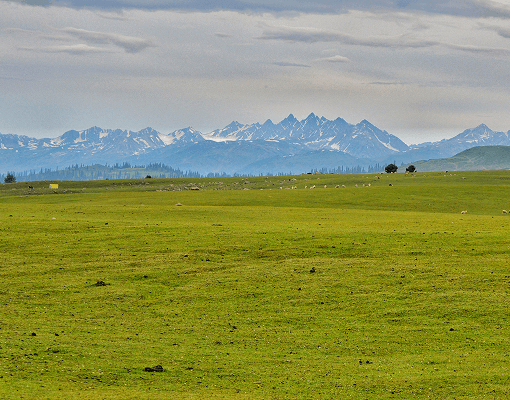 DOODHPATHRI –TOSAMAIDAN TREK Mountain Trails