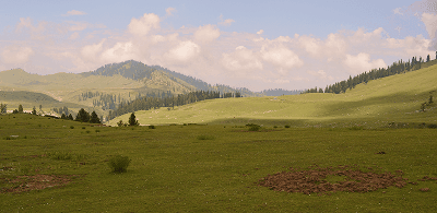 DOODHPATHRI –TOSAMAIDAN TREK Mountain Trails